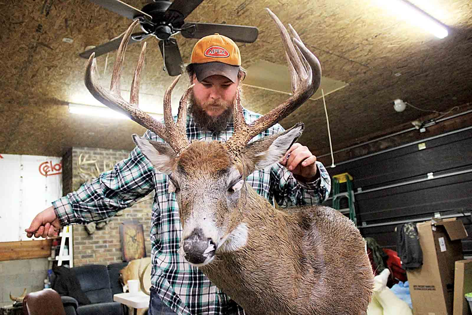 For taxidermists, deer season brings work | News, Sports, Jobs - News ...